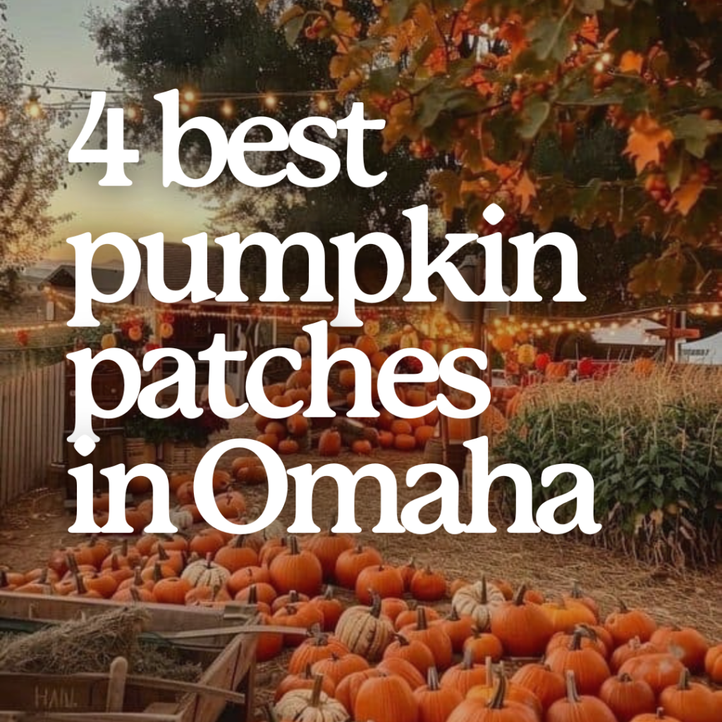 Best Pumpkin Patches to Visit in Omaha This Fall | caralovesomaha.com