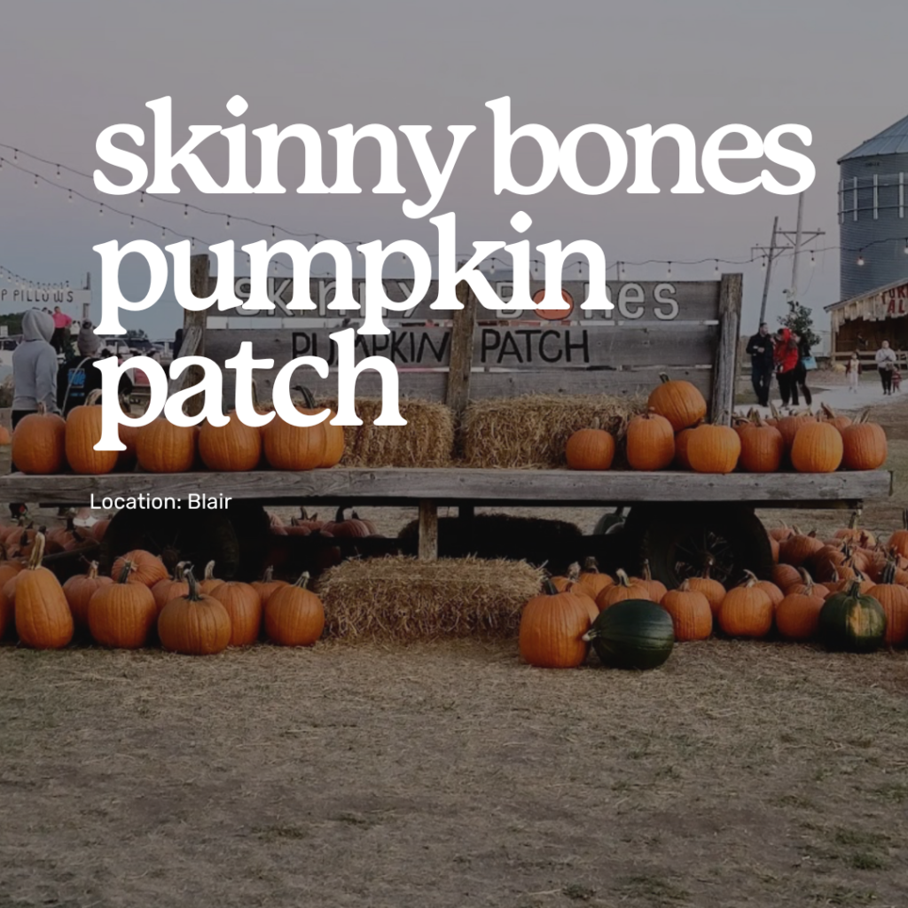 Best Pumpkin Patches to Visit in Omaha This Fall | caralovesomaha.com